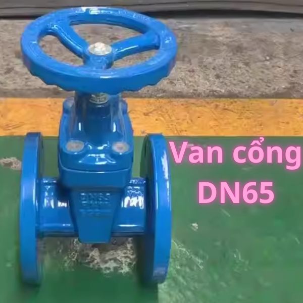 Van cổng DN65 | Tất cả những gì bạn cần biết